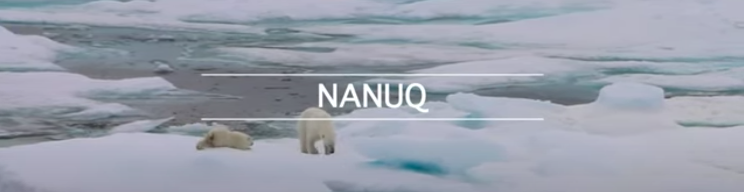 Nanuq